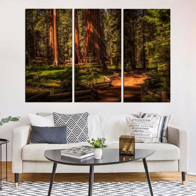 Sequoia National Park - Spruce Trees Wall Art Giant Poster Forest Print ...