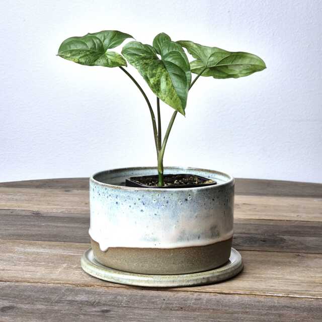 Small Frost White Handmade Stoneware Ceramic Plant Pot With Drainage ...