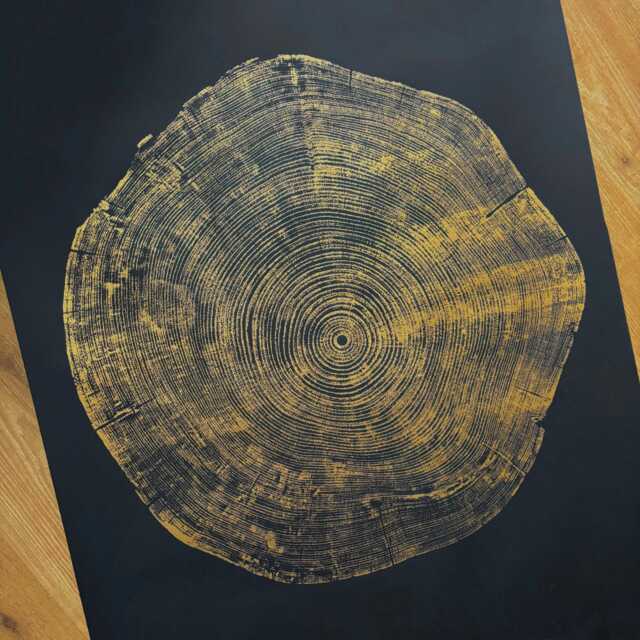 Tree Ring Print, Monkey Puzzle Tree, Black & Gold Large Tree Ring Print ...