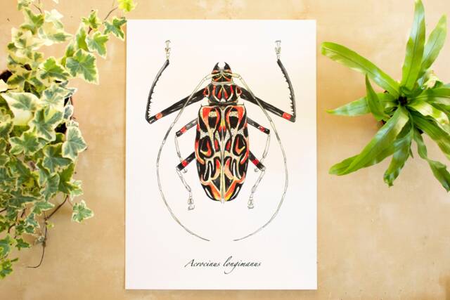Poster Scarab An Insect Board For Original & Colorful Interior ...