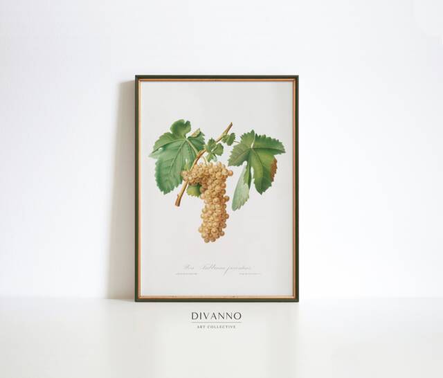 Antique Vineyard Wall Art, Vintage Grape Poster, Fruit Art Print ...