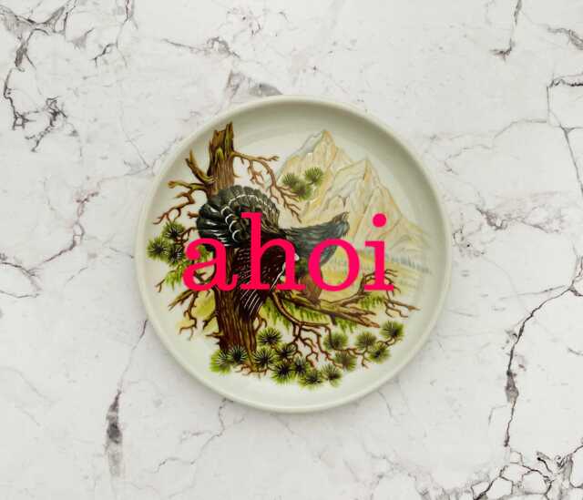 Ahoy Bird Vintage Neon 10cm Of Deko Dish Plate Wall Hanging by Etsy ...