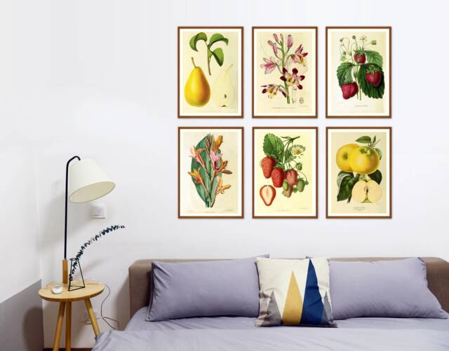 Set Of 6 Prints, Botanical Print Set, Illustrations, Modern Wall Art ...