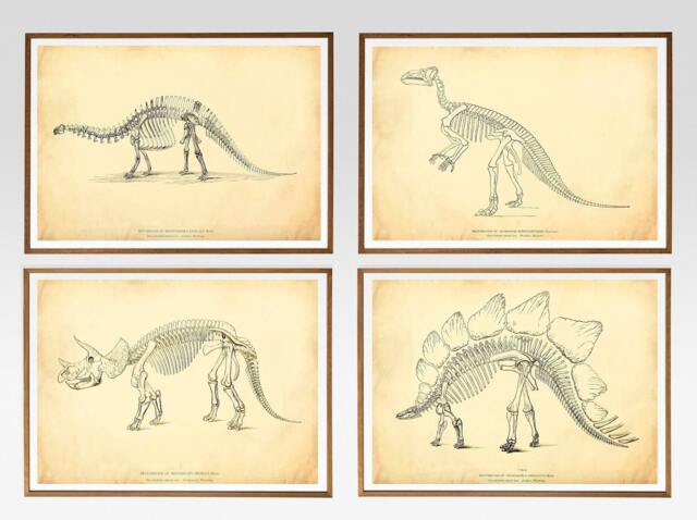 Vintage Poster Dinosaur Set Of 4 Skeleton Squellets Dinos Lexicon ...