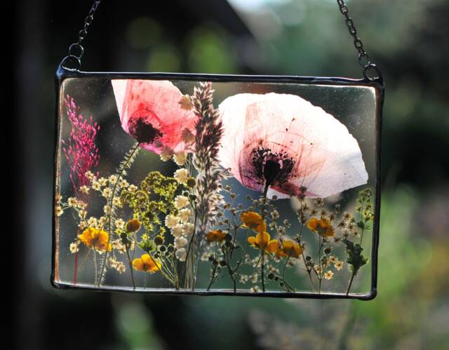 Pressed Flowers, Flower Frame, Framed Dried Wall Hanging, Floating Real ...