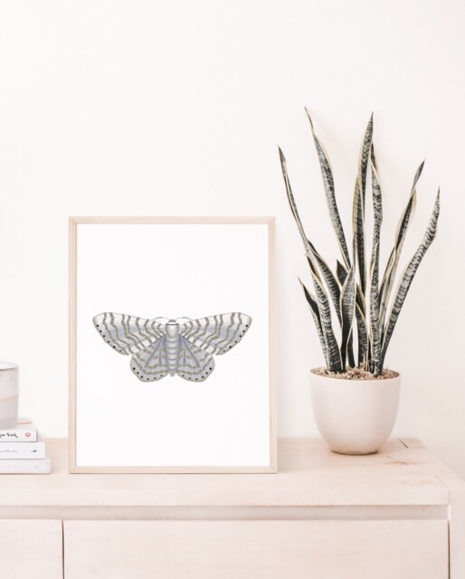 Moth Art Print - Botanical Poster Boho Modern Neutral Insect Butterfly ...