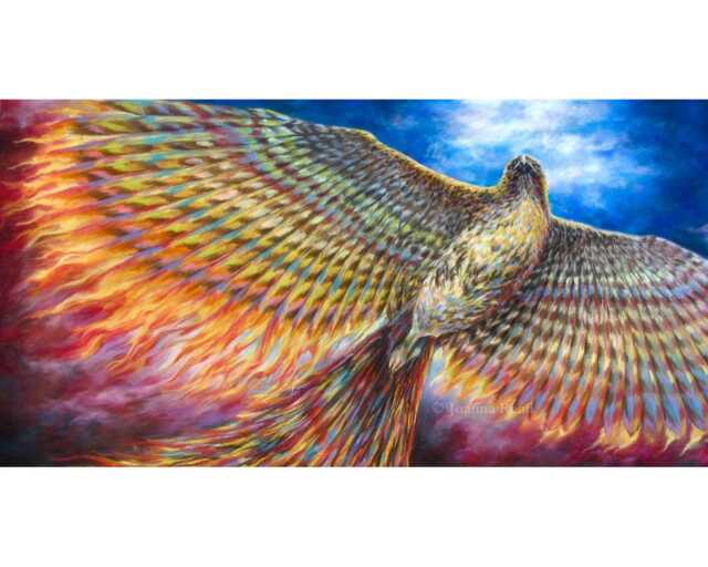 Red Tailed Hawk Turned Phoenix, Rainbow Rebirth & Renewal Symbol by ...