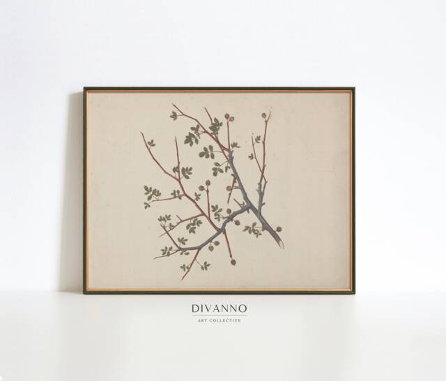Antique Tree Branch Print, Rustic Kitchen Decor, Botanical Sketch ...