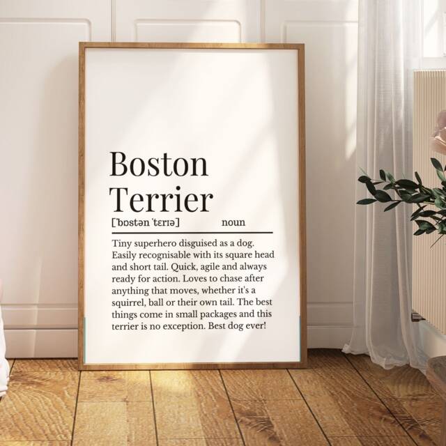 Boston Terrier Definition Print, Wall Print For Owner, Mum, Print by ...
