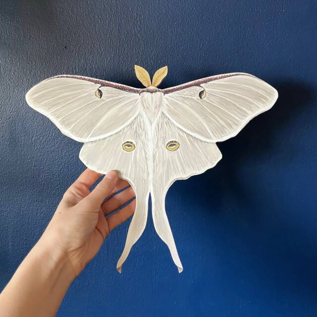 White Luna Moth Print Wood Cutout - Wall Art Cottage Core & Boho Decor ...