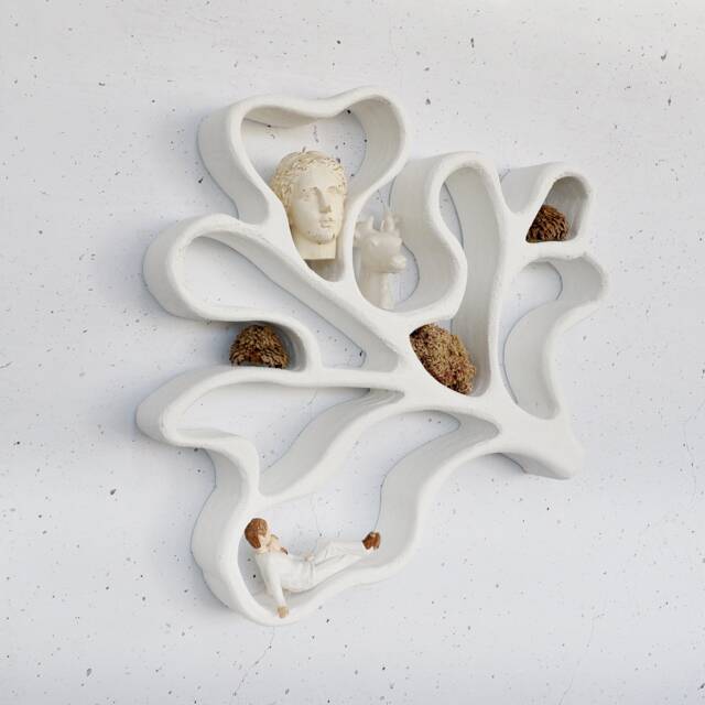 Large Handmade Curio Shelf , Oddities Shelf, Curiousity Shelf, Curio ...