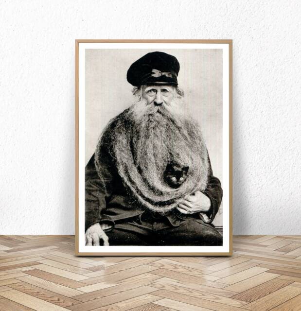 Louis Coulon & His 11-Foot Beard As A Nest For Cats/Old Man With Cat in ...