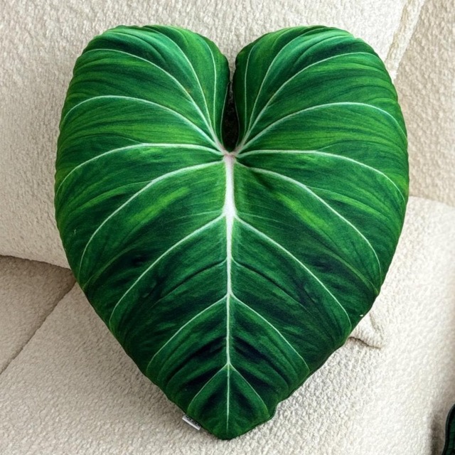 Philodendron Gloriosum Pillow/Gloriosum Plant Lover Gift Decoration ...