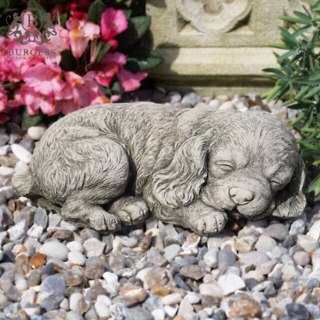 Spaniel Puppy Dog Statue - Reconstituted Stone Animal Concrete Garden ...