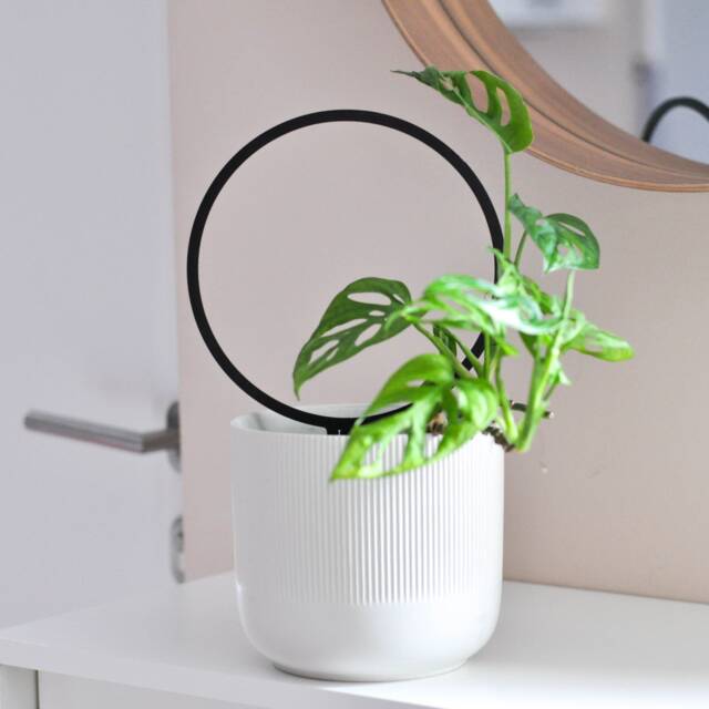 Big Circle Plant Trellis - 3D Printed Accessories Perfect Gift For ...