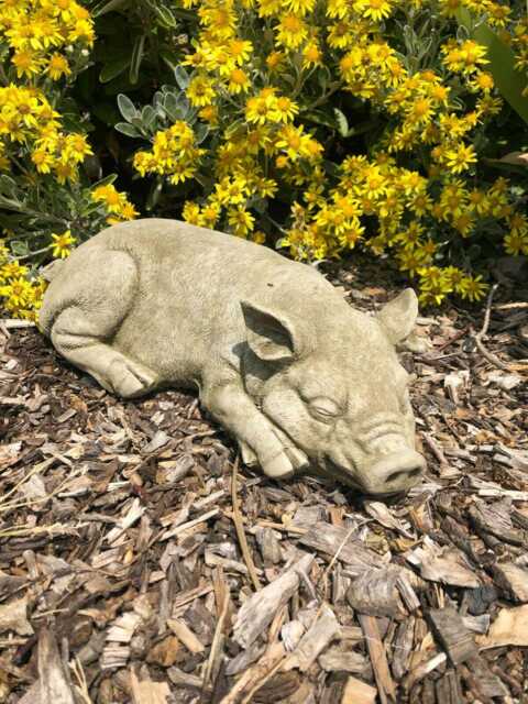 Sleeping Farm Pig Stone Statue - Reconstituted Vintage Concrete Outdoor ...