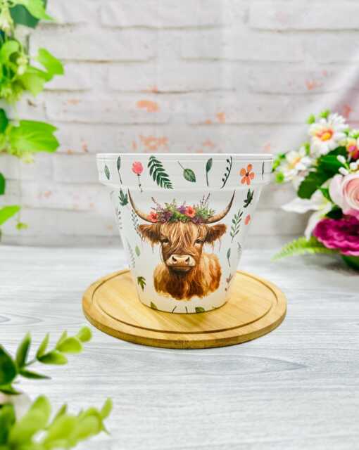 Highland Cow Decoupaged Terracotta Clay Plant Pot, Cow Flower Pot ...
