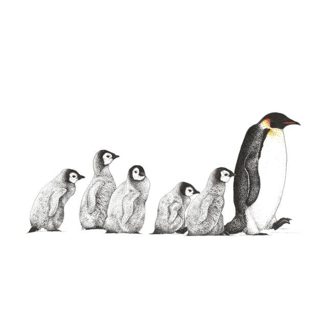 Print Pointilism Penguins, Pen & Ink, Art Print, Artwork, Dawing ...