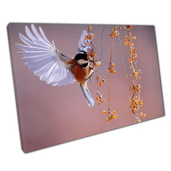 Elegant Bird Canvas Art Print Ready-To-Hang Decor For Home, Office ...