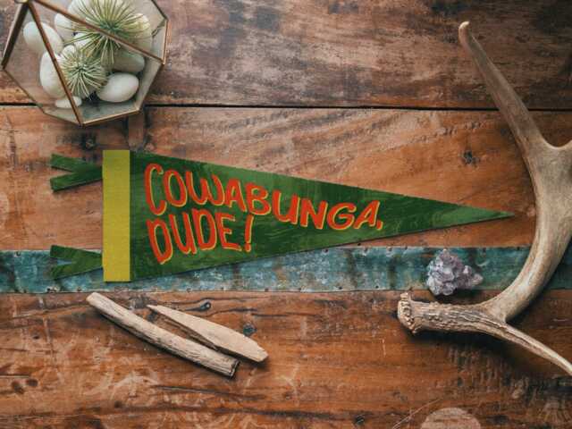 Cowabunga Dude Felt Pennant - Vintage Turtle Themed Banner ...