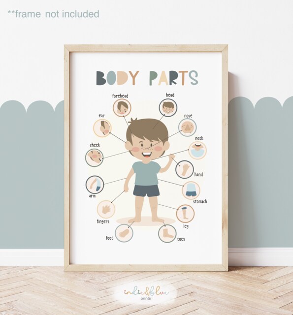 Body Parts Chart, Unframed Print, Classroom Decor, Educational ...