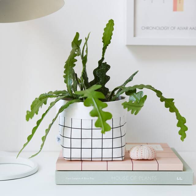 Grid Planter - Large by Etsy | uFurnish.com