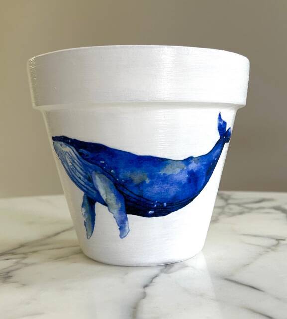 Whale Flower Pot-6 Inch, Clay Pot, Whales, Decoupage Indoor Planters ...