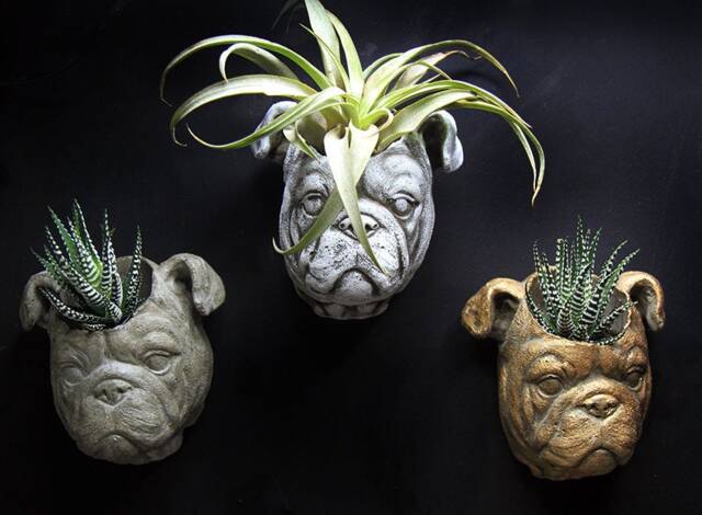 Pug Head Hanging Wall Pot For Succulents & Airplants by Etsy | ufurnish.com