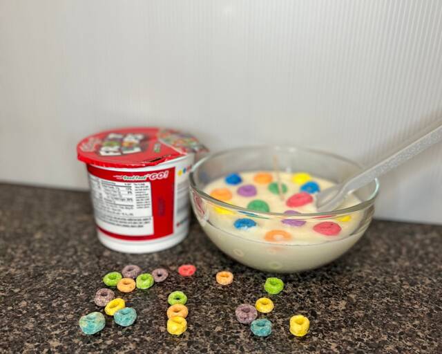 Froot Loop Cereal Bowl Candle by Etsy | ufurnish.com