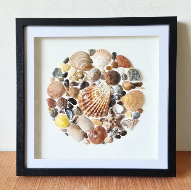 Unique Sea Shell Round Circle Wall Art in Frame Decor For Business ...