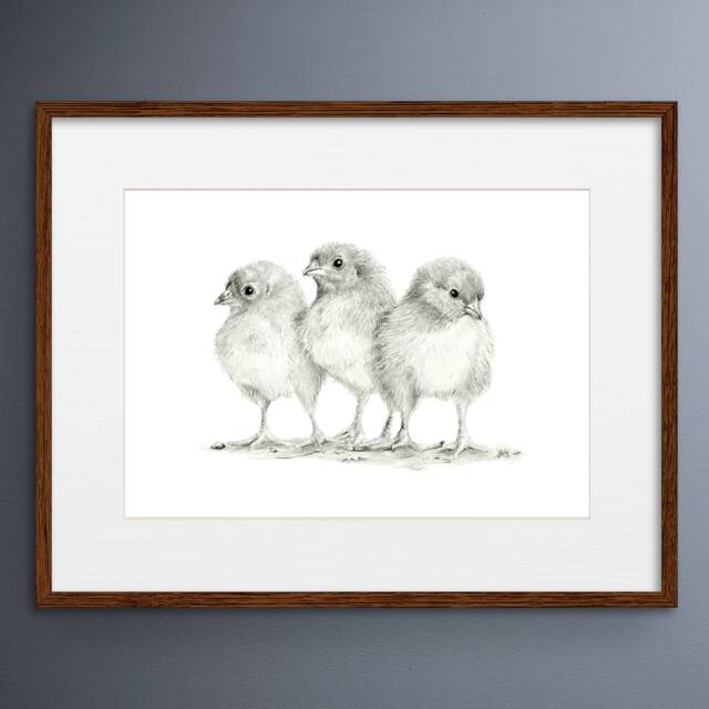 Three Chicks Art Print - Small Wall Graphite Pencil Drawing By ...