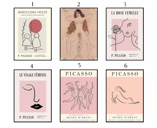 Picasso Poster Sets, Print, Art, Exhibition Poster, Floral Vintage Minimalist Gift Idea, A1/A2 ...