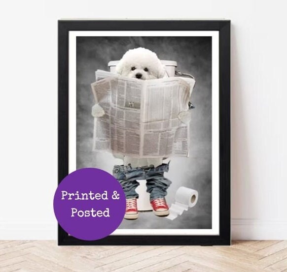 Bichon Frise On Toilet Print - Funny Dog Loo Picture Bathroom Wall Art ...