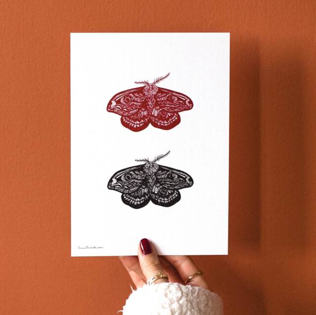 Emperor Moth - Black & Red A5 Art Print Handmade Hand Drawn Ink Moths ...