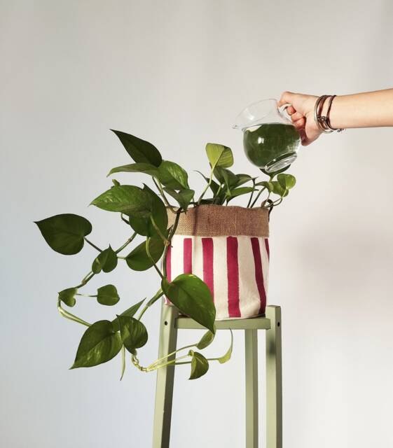 Medium Striped Indoor Planter, Hand-Painted Fabric Basket, Canvas Plant ...