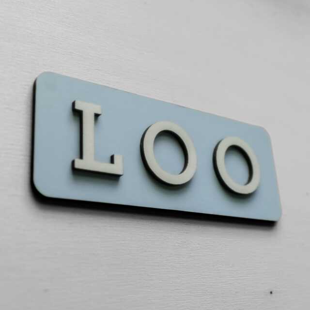 The Loo Sign Pastel Blue, Bathroom Door Sign, Minimalist Wall Decor ...