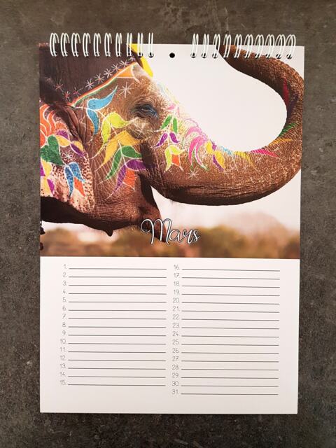 Elephant Perpetual Birthday Calendar by Etsy | ufurnish.com