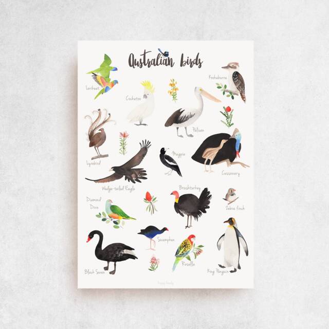 Australian Birds Poster Watercolor Nursery Art, Alphabet Print by Etsy ...