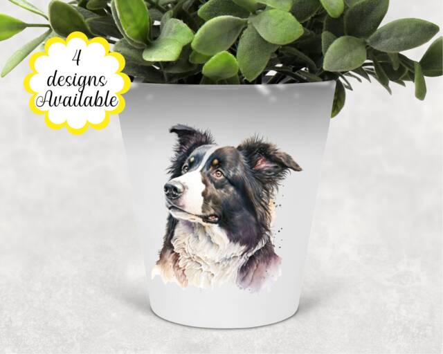 Border Collie Plant Pot - Dog Pen Holder/Makeup Brush Personalised Gift ...