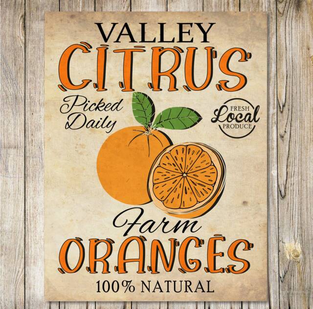 Citrus Farm Orange Sign Vintage Style Large Funfair Wall Decor Metal ...