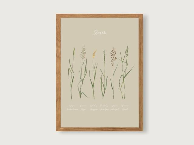 Grasses - Print Poster Art A4 Botanical Gouache Illustration -- Heart ...