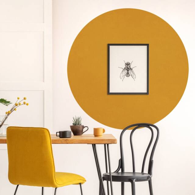 Removable Circle Decal, Boho Decor, Color Wall Sticker, Blocking ...