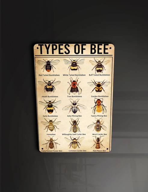 Types Of Bee Honey Bumble Insect - Metal Sign Plaque Wall Art Decor ...
