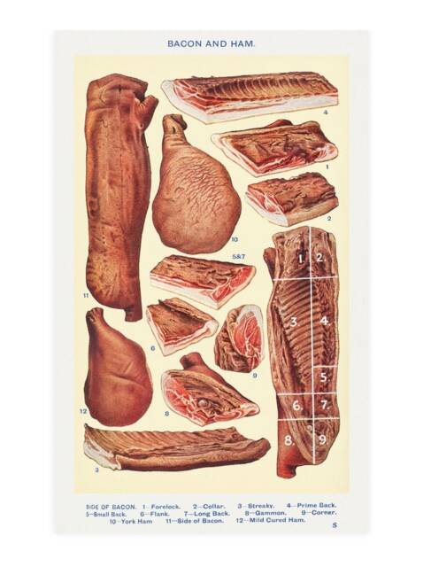 Vintage Mrs Beeton Bacon & Ham Chart Print, Meat Print by Etsy ...