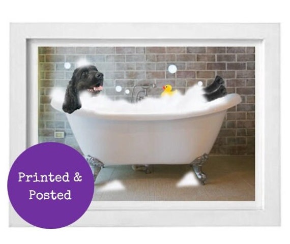 Black Cocker Spaniel in Bath Print - Funny Bathroom Wall Art Dog On ...