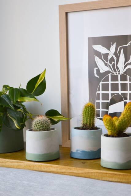 Planter + Cacti Gift Set - Mini Watercolor Cactus Plant & Pot by Etsy ...