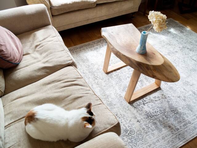 Live Edge Coffee Table, Wild Ash & Oak, Slab Rustic Chunky Waney ...
