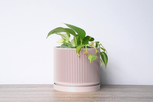 "Mid-Century Modern Planter With Drainage & Saucer in Light Pink ...