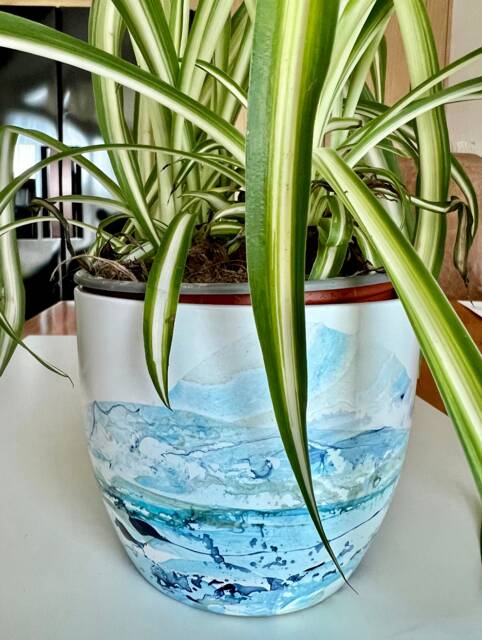 Plant Pot, Ceramic, Hand Painted Ocean Inspired Coastal Indoor Planter ...