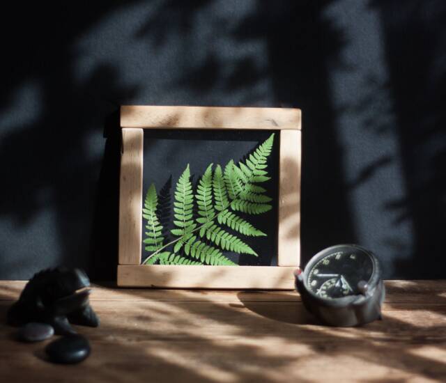 Magic Of Fern - Wall Decor 8x8 by Etsy | ufurnish.com